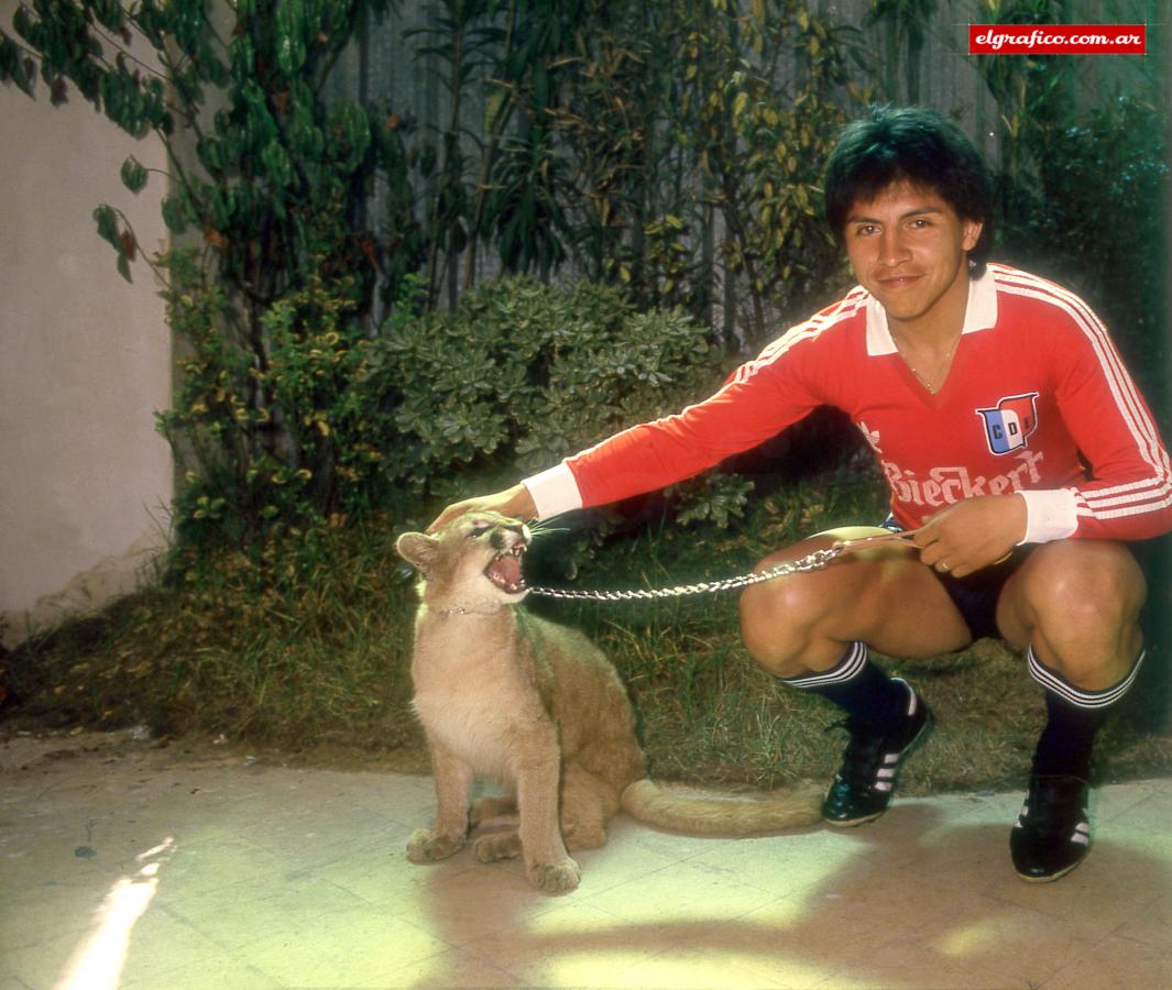 El Puma y el puma | El Gráfico